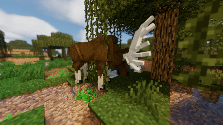 Better Animals Plus Official Site