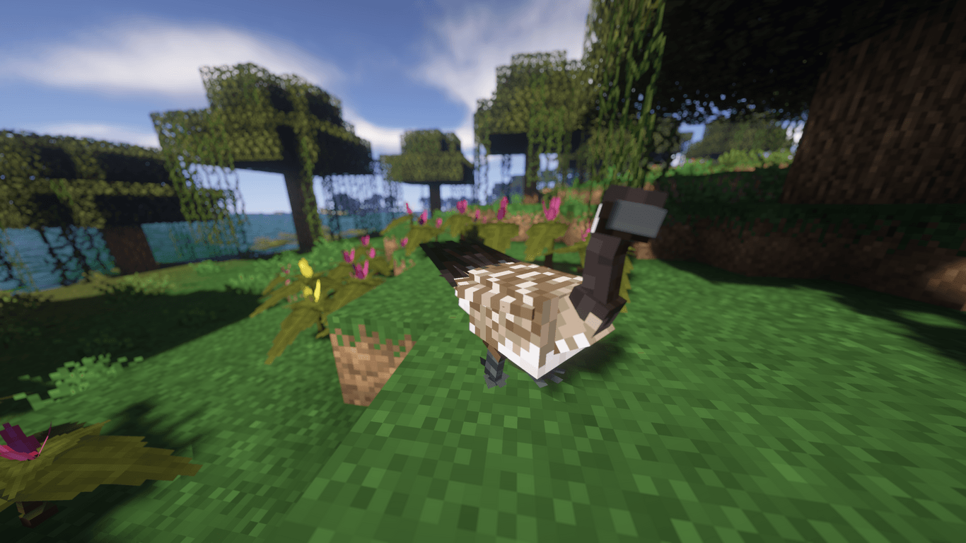 Better Animals Plus Official Site