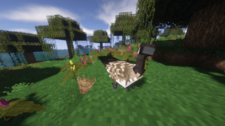 Better Animals Plus Official Site