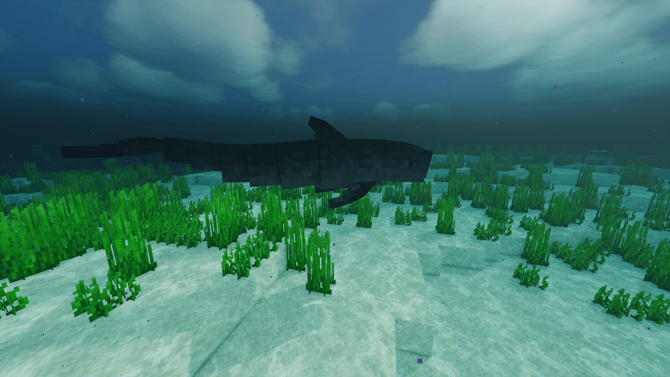 Better Animals Plus Official Site