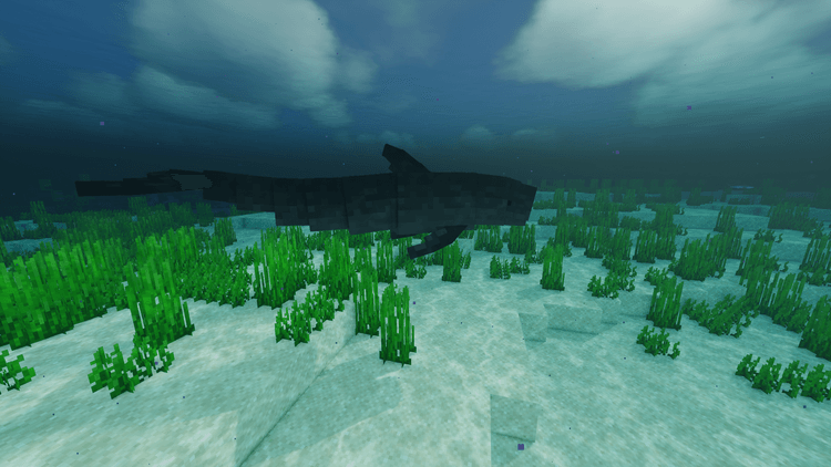 Better Animals Plus Official Site