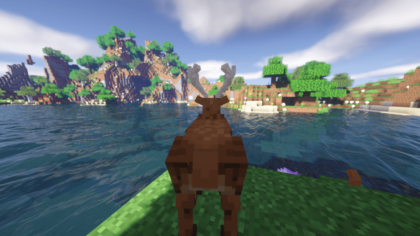 Better Animals Plus Official Site