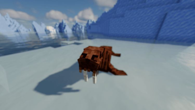 Better Animals Plus Official Site