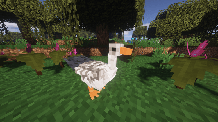 Better Animals Plus Official Site