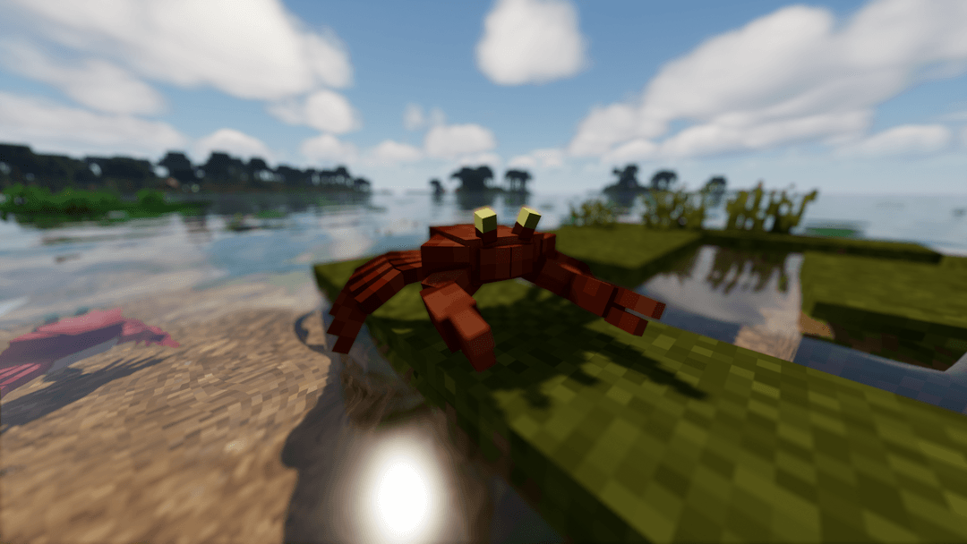 Better Animals Plus Official Site