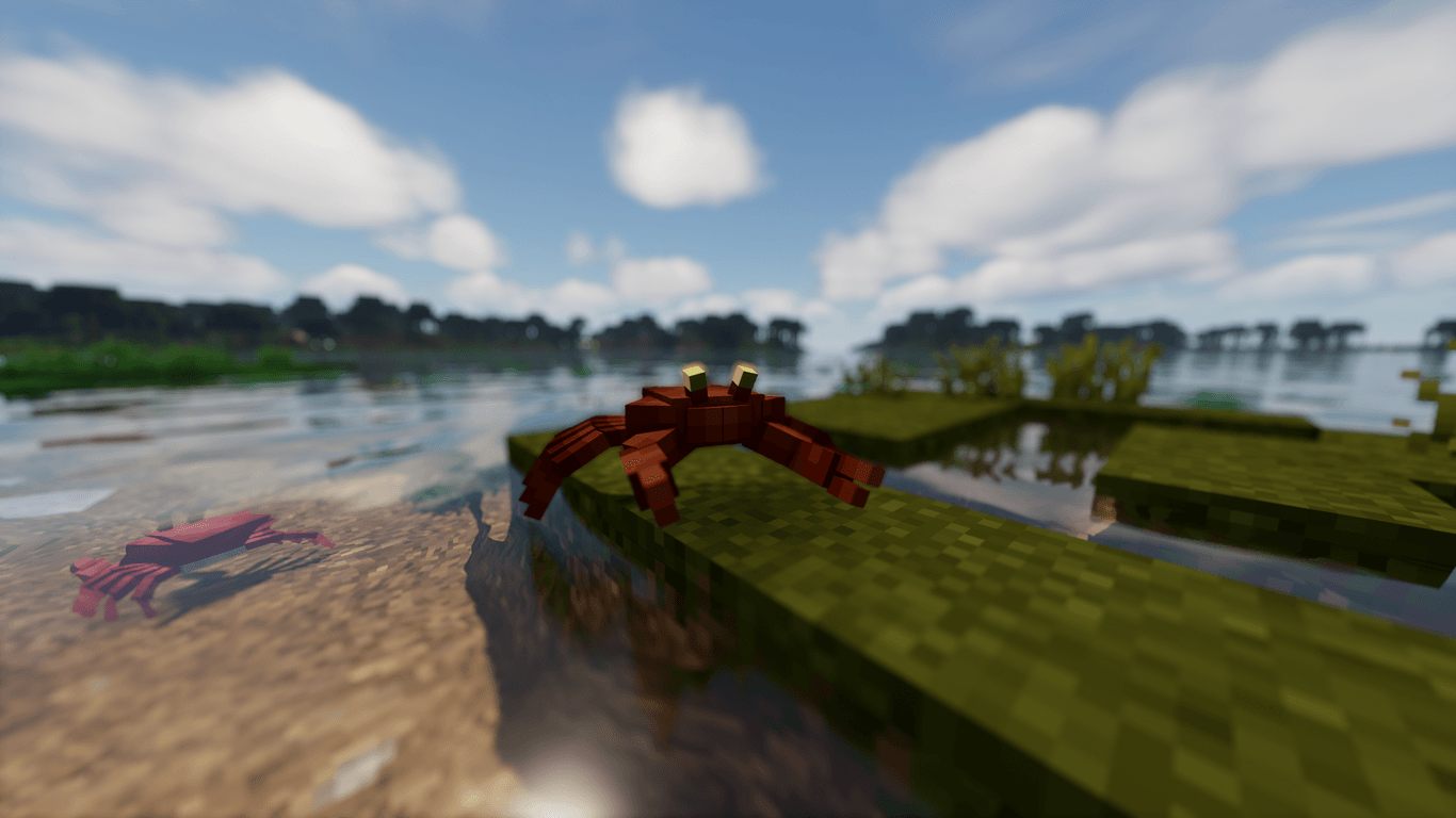 Better Animals Plus Official Site