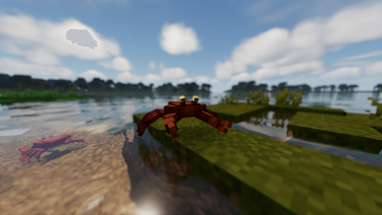 Better Animals Plus Official Site