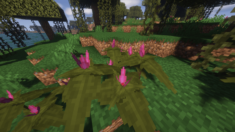 Better Animals Plus Official Site