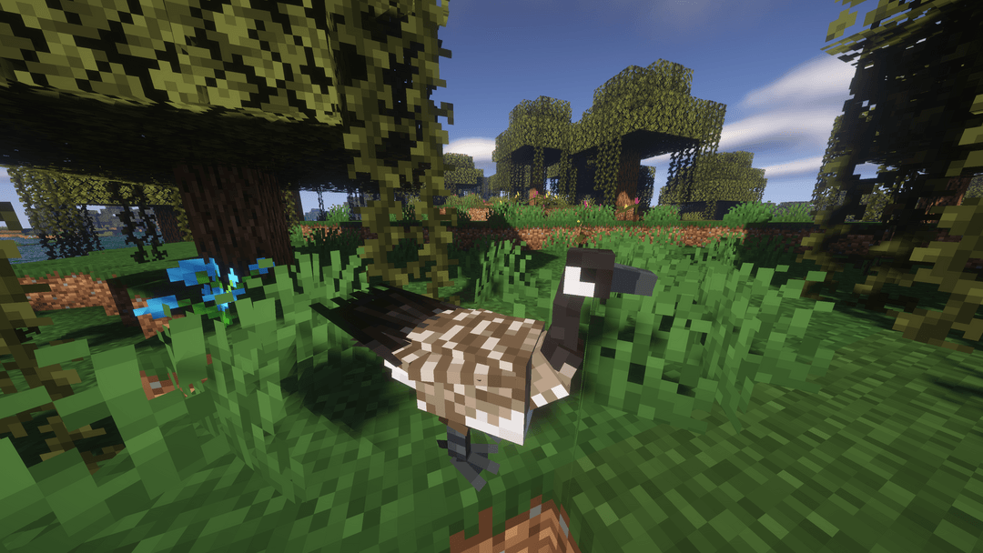 Better Animals Plus Official Site