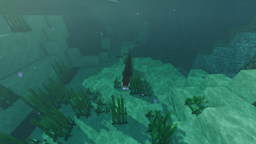 Better Animals Plus Official Site