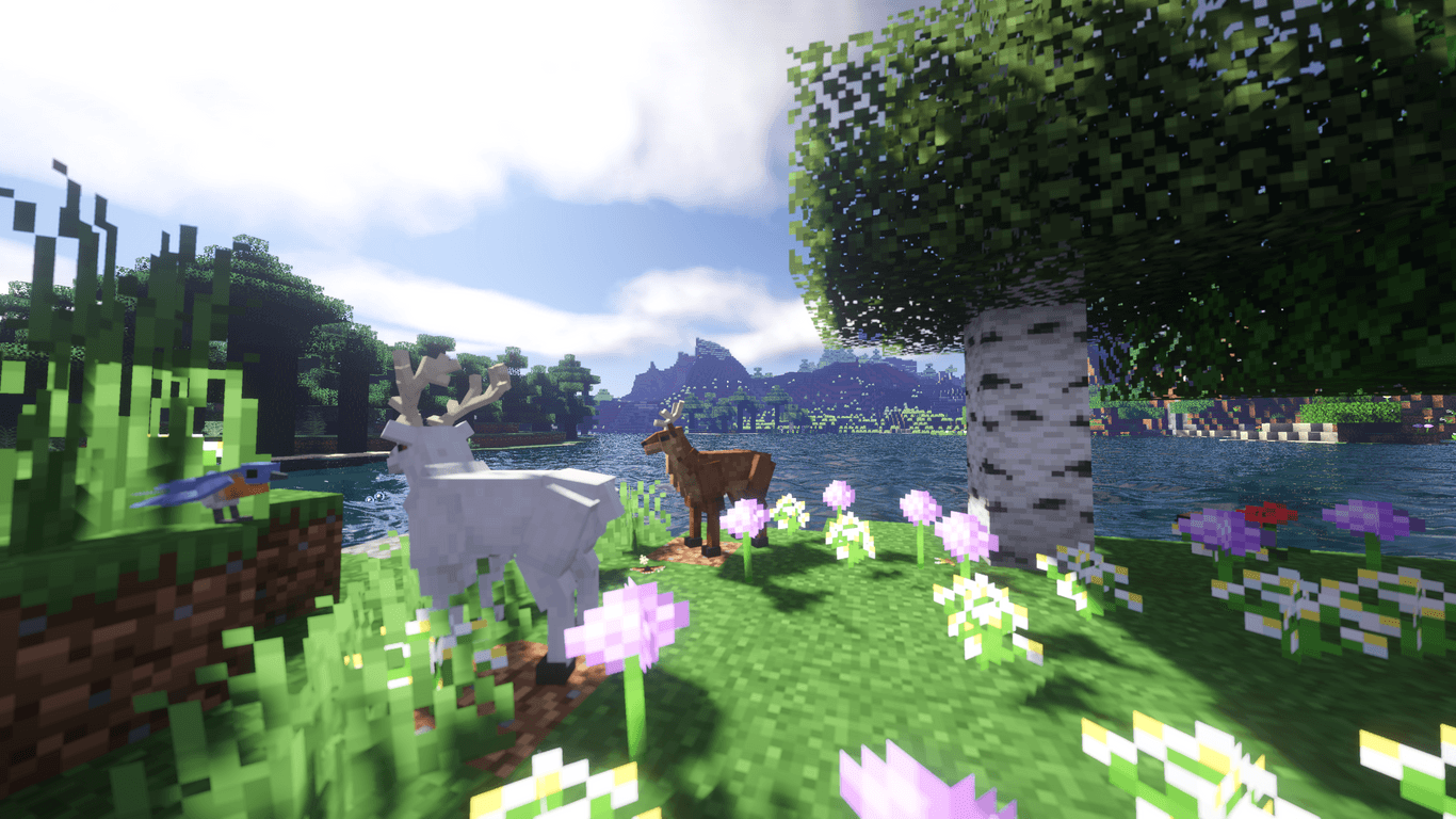 Better Animals Plus Official Site