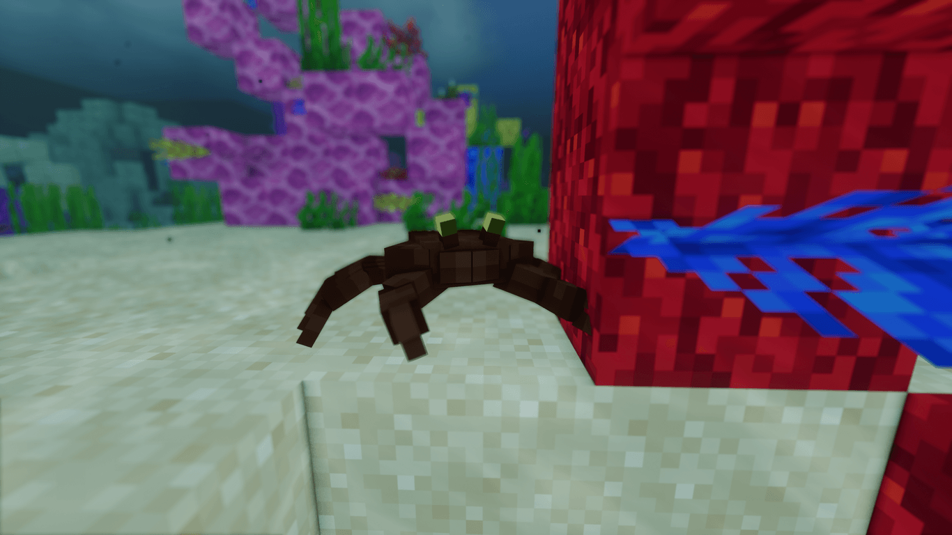 Better Animals Plus Official Site