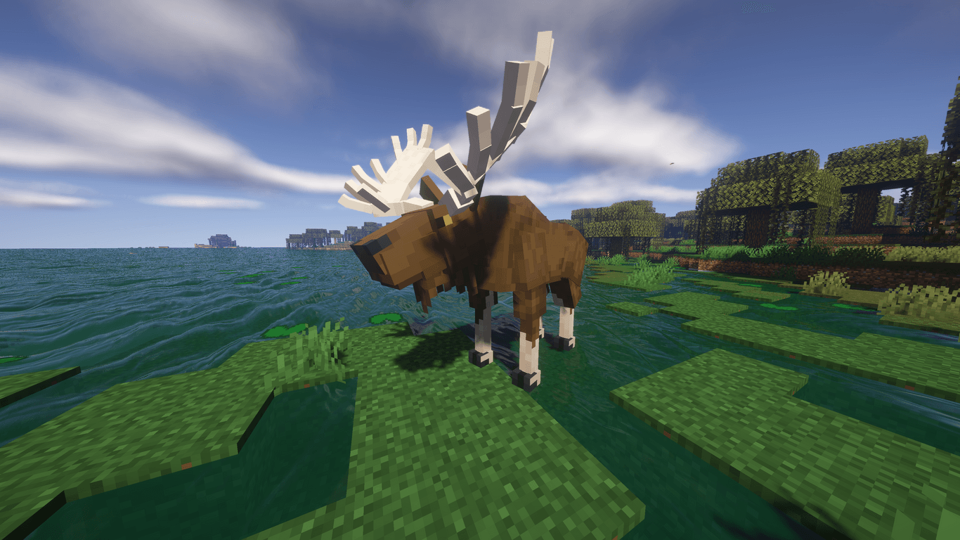 Better Animals Plus Official Site