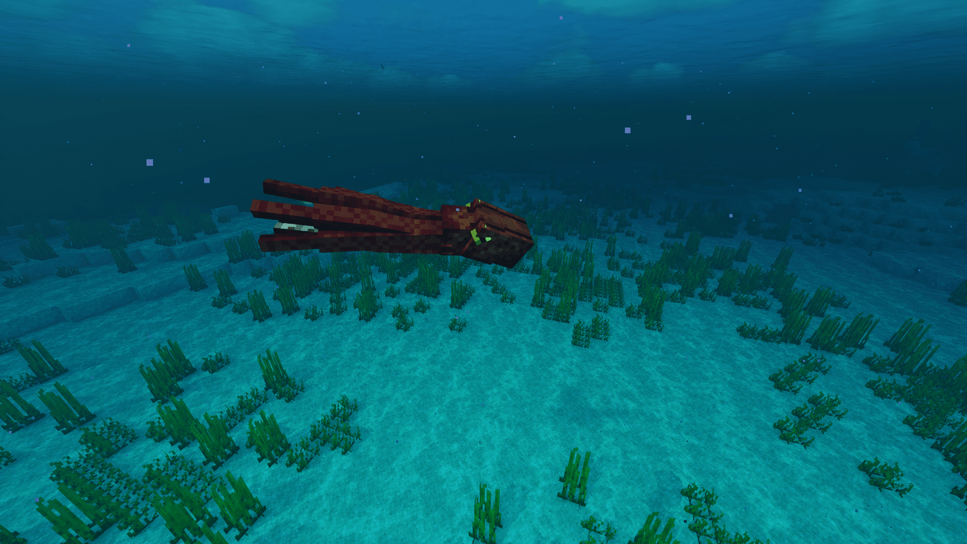 Better Animals Plus Official Site