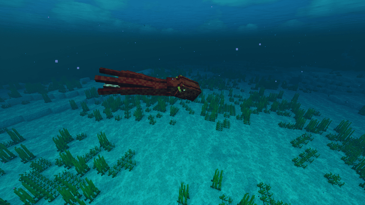 Better Animals Plus Official Site